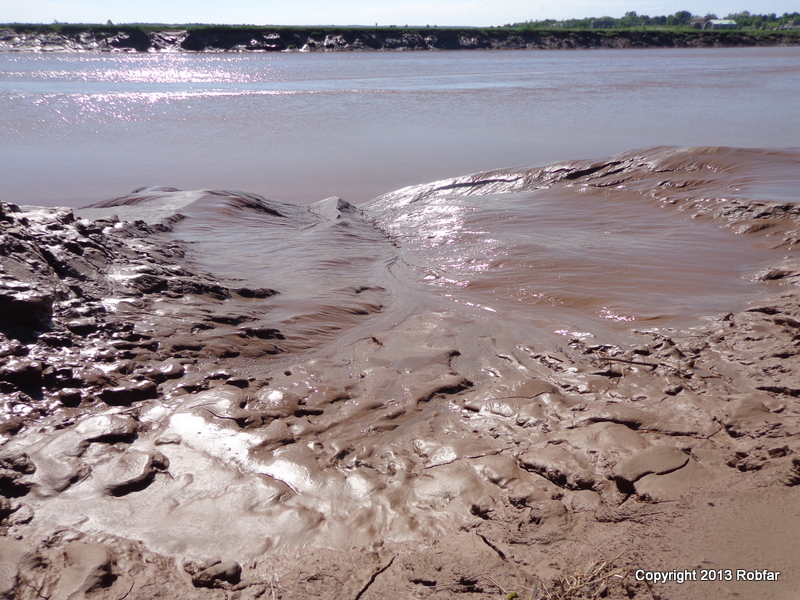 Scouting New Brunswick: Chocolate River