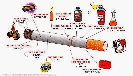 super_hard's blog: RACUN BERBAHAYA PADA SEBATANG ROKOK