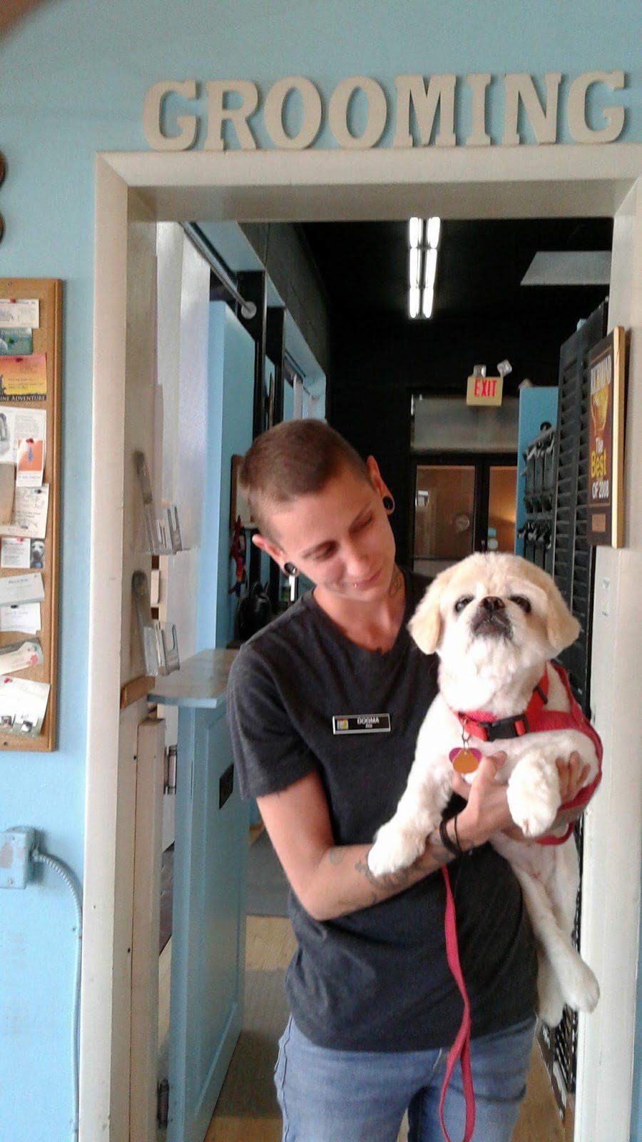 Must Love Pekes: BRIDGET-- LITTLE BEAUTY