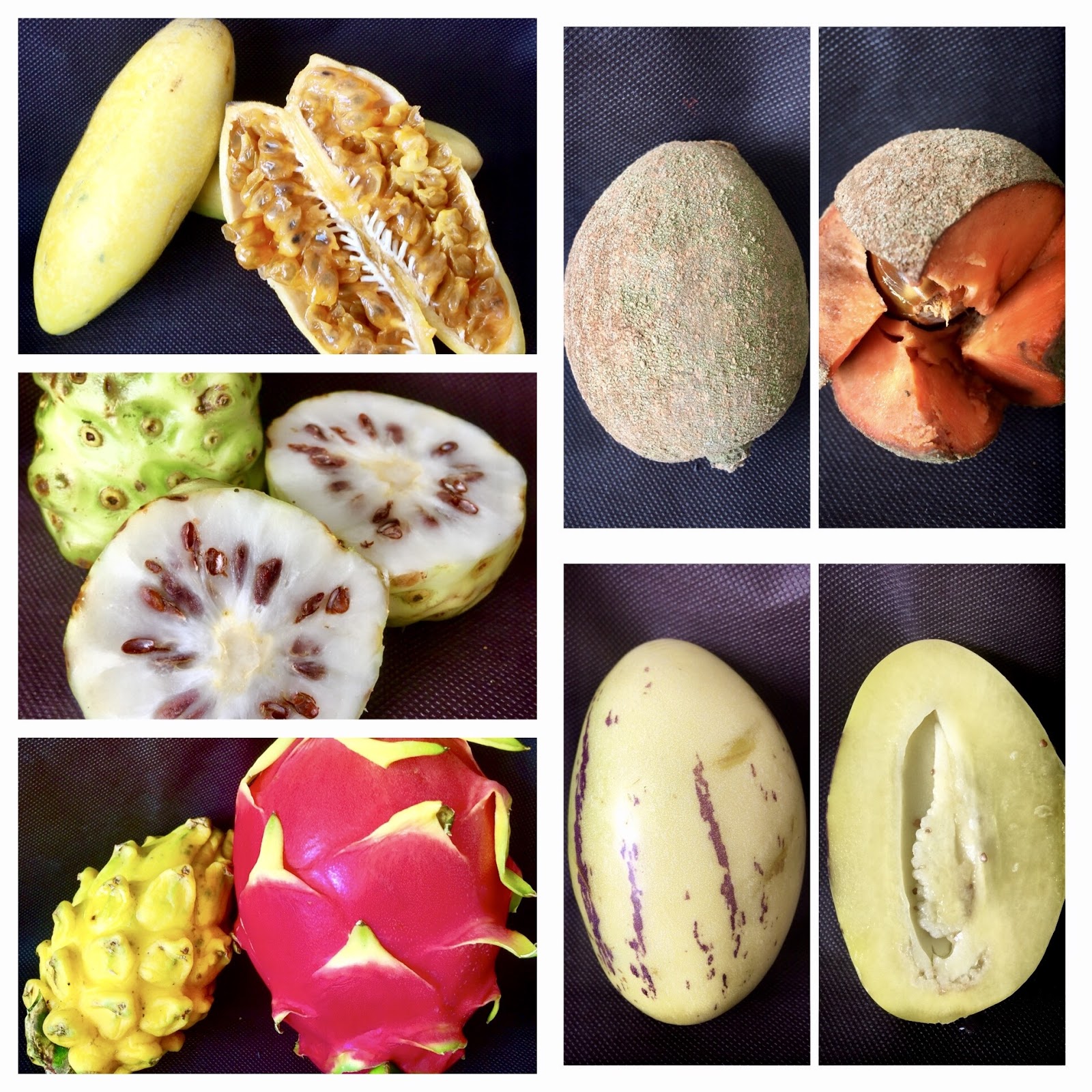 Tomates verdes fritos: Viaje a Ecuador