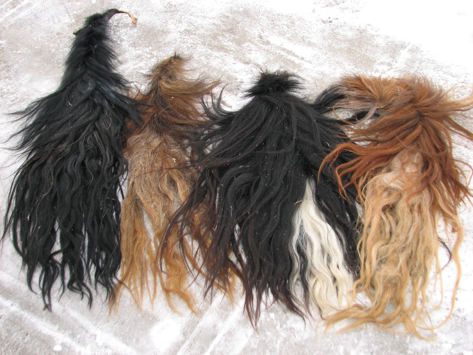 Springridge Ranch Grass-Fed Yak-Cross Beef: Yak "Tales" - Part One