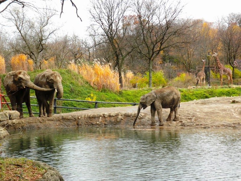 The Zoo Review: Zoo Review: Pittsburgh Zoo & PPG Aquarium