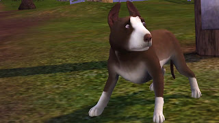 The Sims Giuly - Download e tutorial di The Sims 3: Animali & Co ...