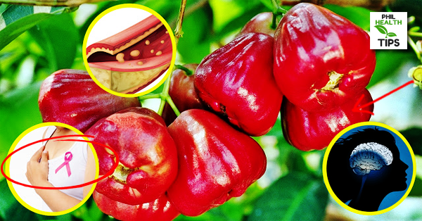 Amazing Health Benefits of Rose Apple (Makopa) - Phil Health Tips