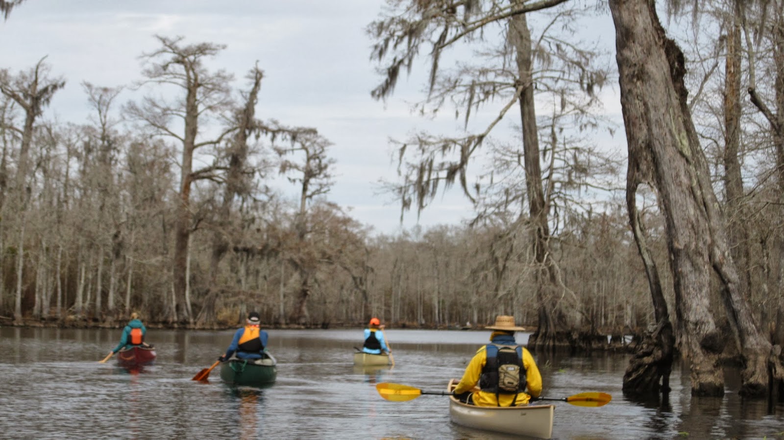 New Orleans Outdoor Companion: Bayou Barbary: Trip Report, 01-27-2014