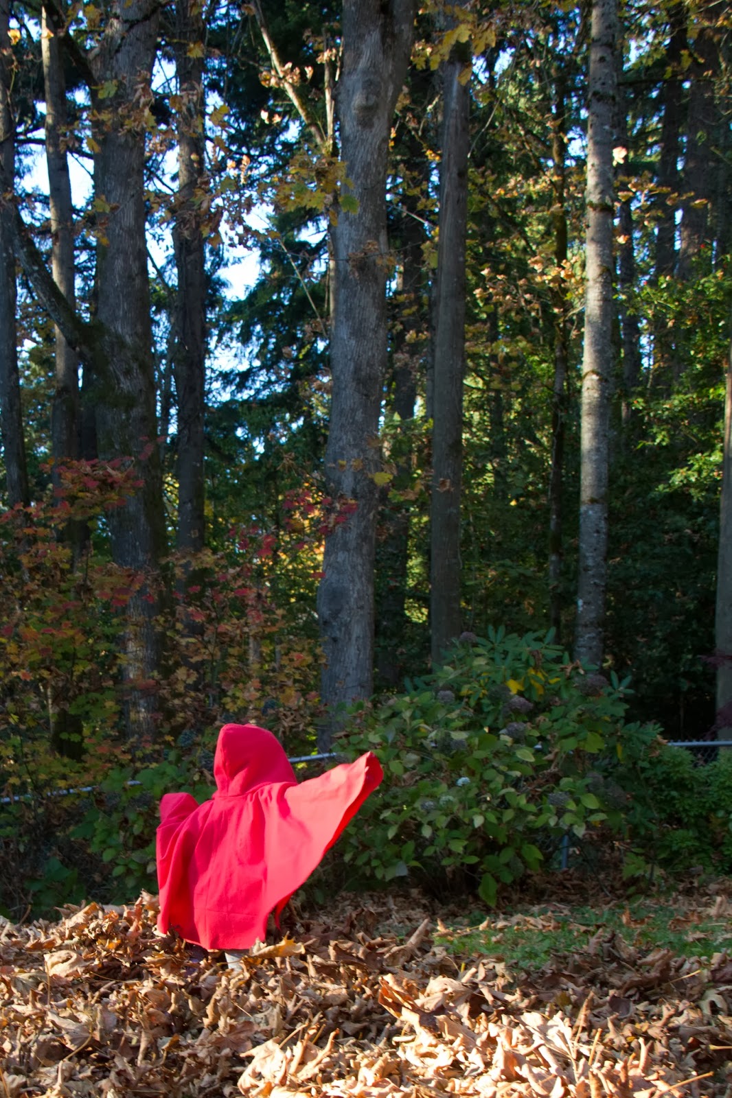 a westerly fold: How to Make your Toddler a Little Red Riding Hood Cape