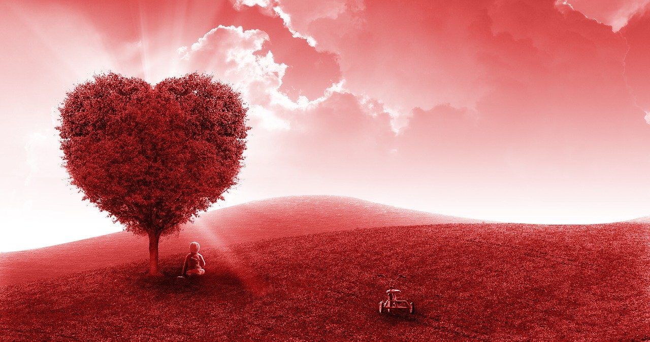 1 LIFE SAVER Importance Of Love In Heart 1-life-saver-importance-of-love-in-heart