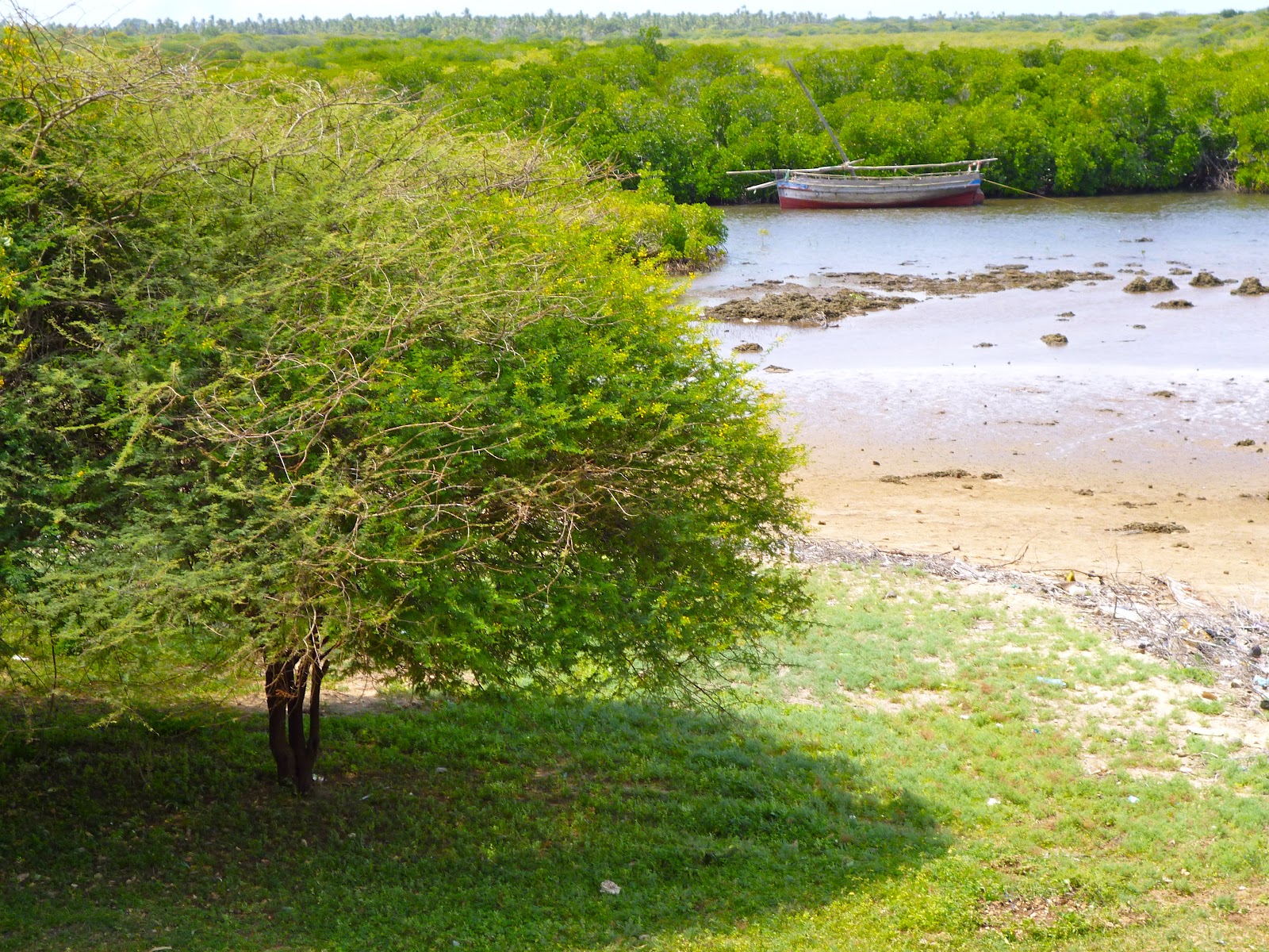 Desi Dixon: Lamu House and Local Ruins at Siyu Fort