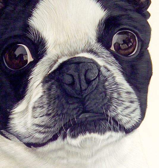 Artodyssey: Ester Curini