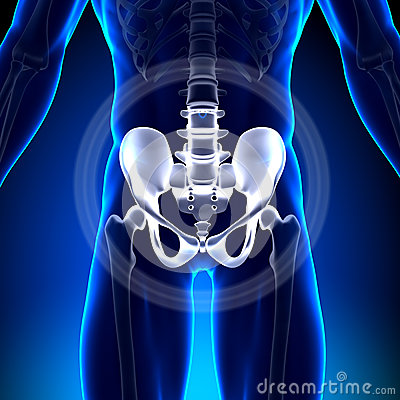 cuerpo-danza-teatro: De iliones, isquiones y personajes.