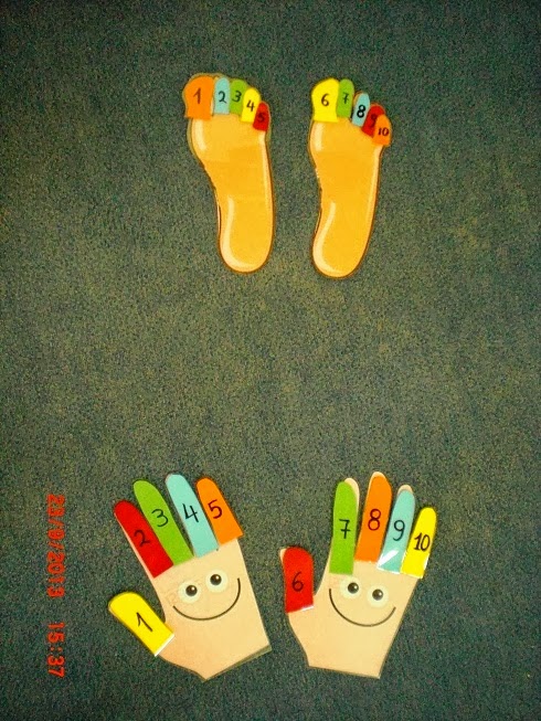 Πυθαγόρειο Νηπιαγωγείο: ΤΟ ΣΩΜΑ ΜΟΥ: ΣΚΕΛΕΤΟΣ - ΟΡΓΑΝΑ