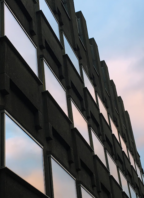 MSA DIGITAL PORTFOLIO - 1270901301