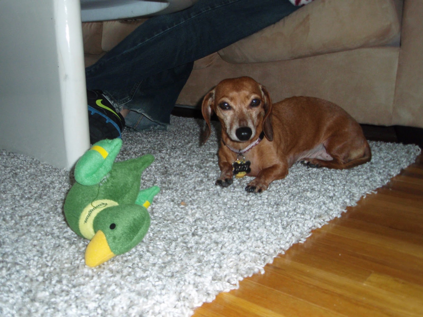 Let's Try Again...Tomorrow