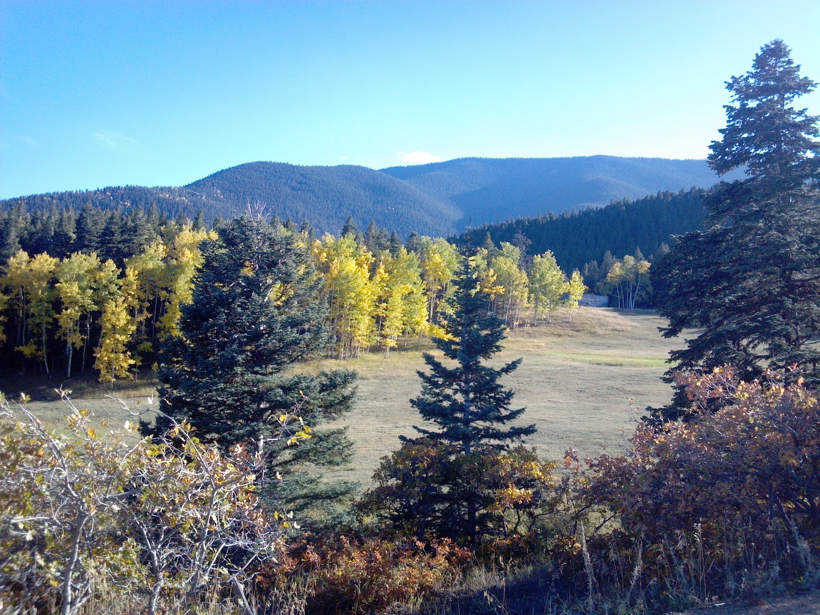 San Isabel Fall 2012 Photo Tour (Aspen, Colorado City: homes, live ...