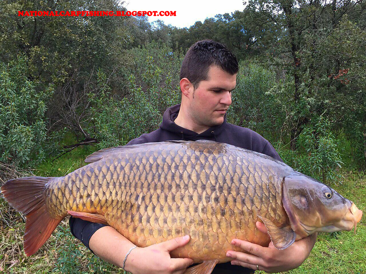 Una Captura Muy Especial por Ángel Gallego