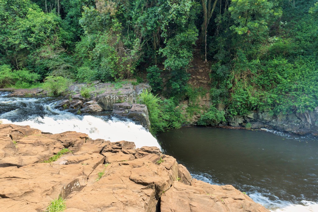 National Park Odyssey: Gardner's Falls, Maleny, QLD.