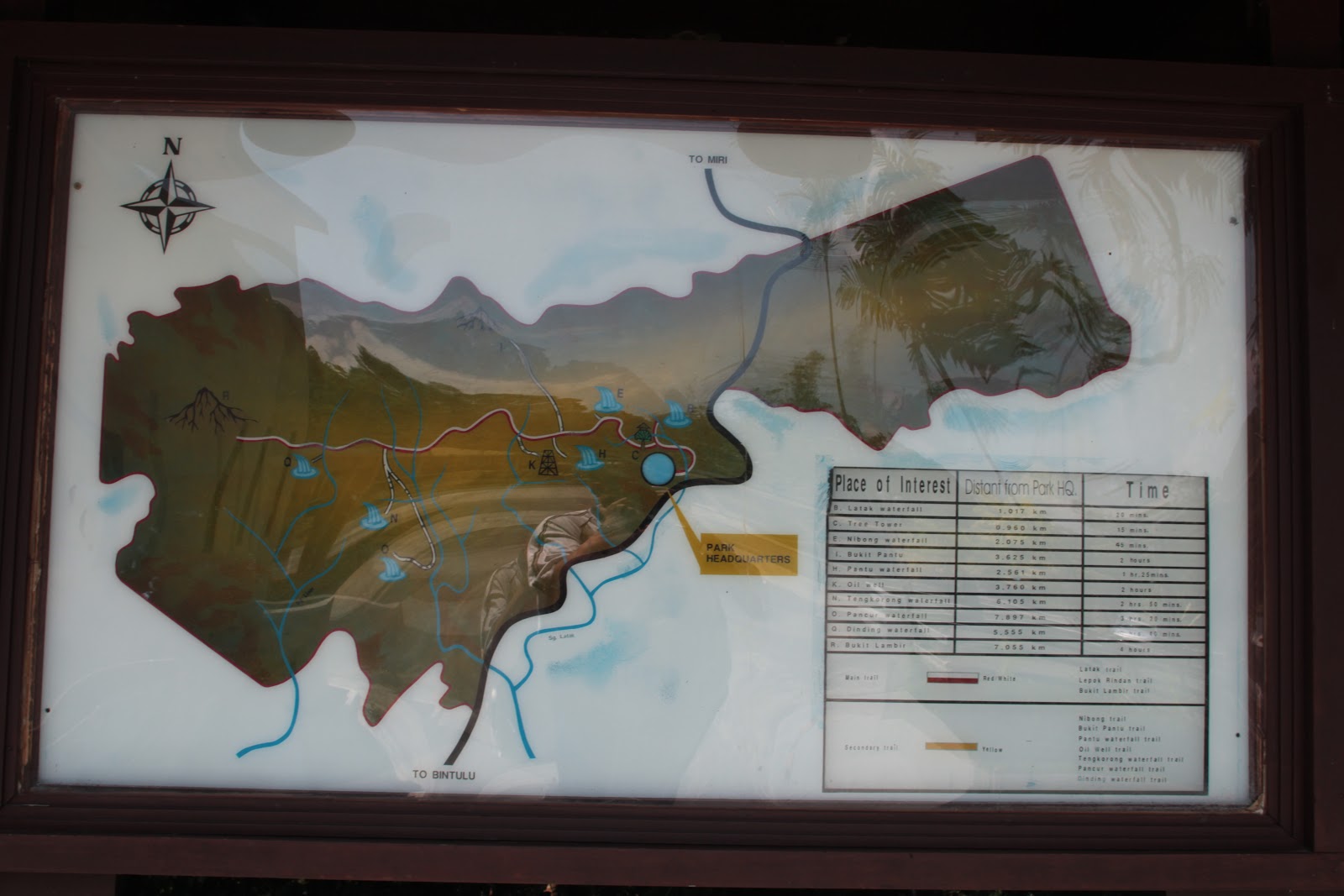 Lambir Hills National Park, Miri