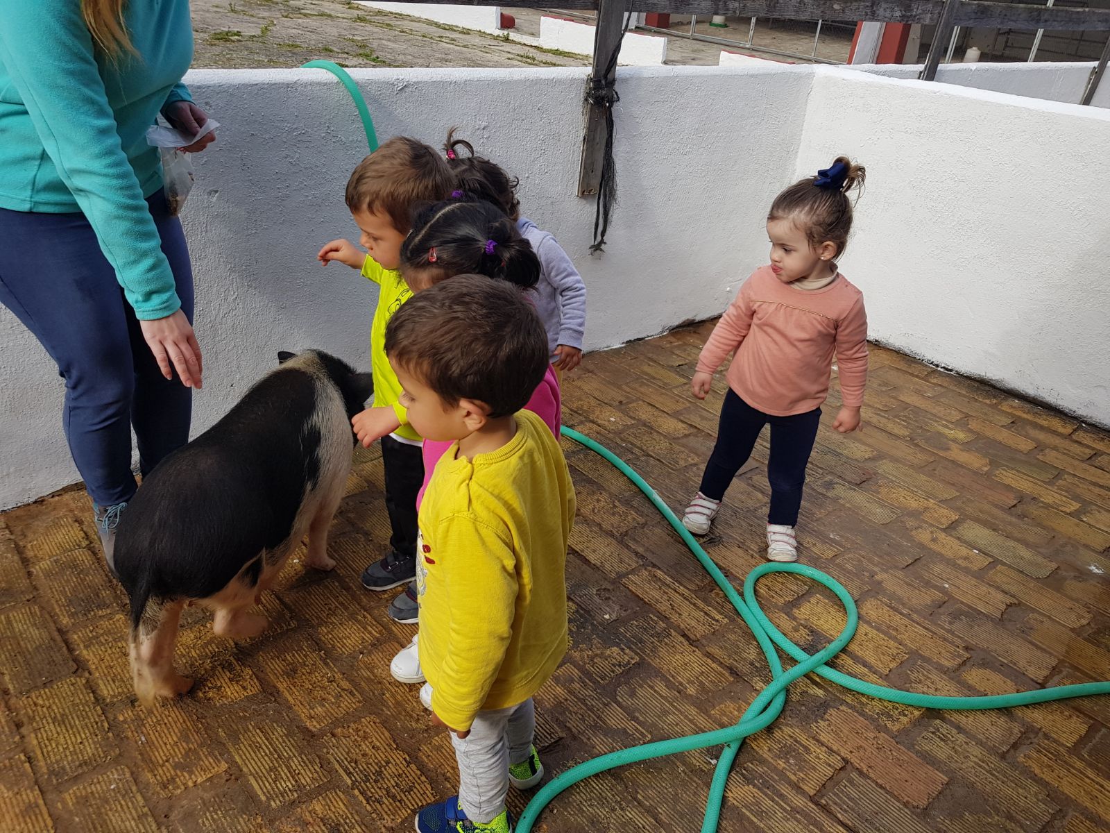 E.I. HUERTA DEL ROSARIO: PROYECTO: LOS ANIMALES DE LA GRANJA