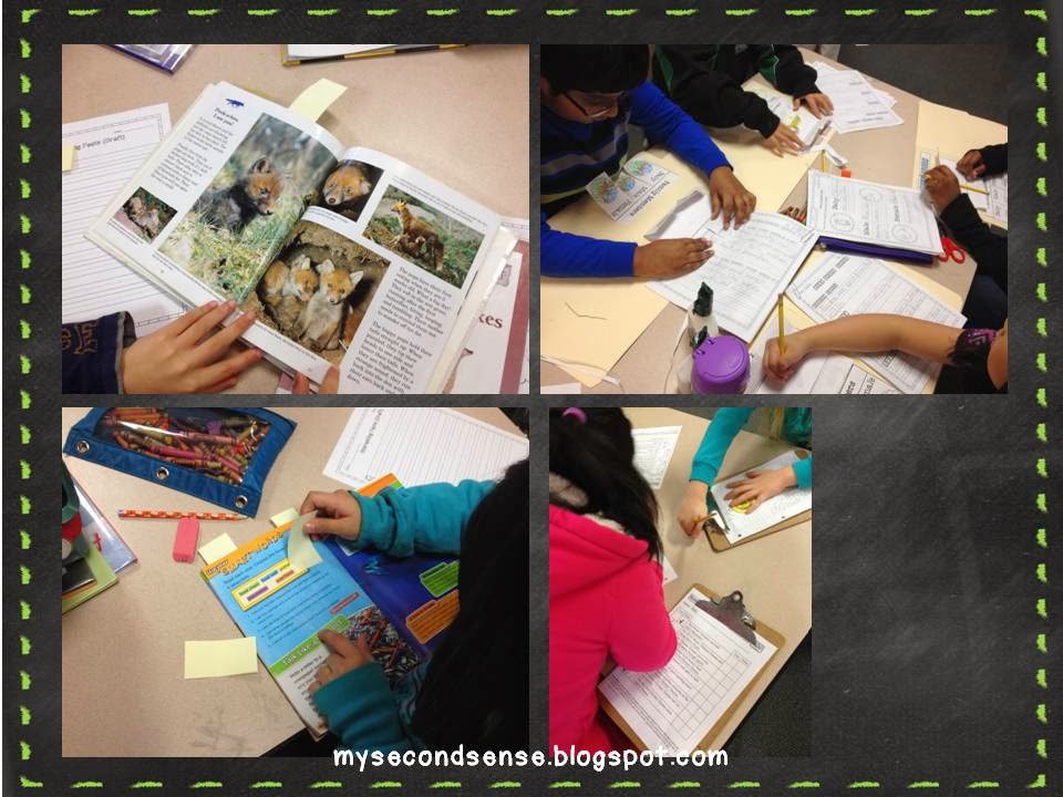 My Second Sense: Interactive Animal Research