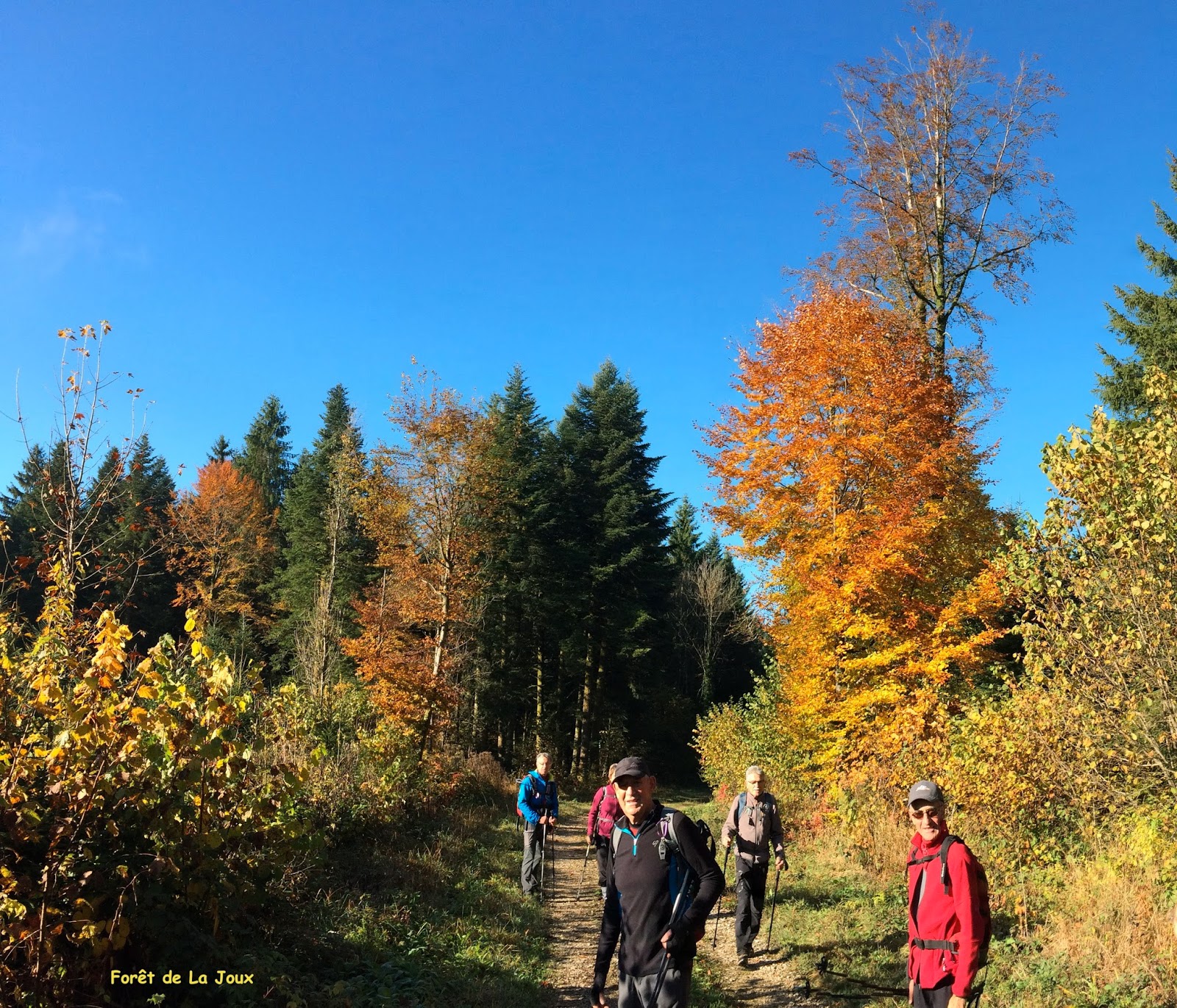 Randonnées pédestres avec la RSGD en Bourgogne Franche-Comté: 27 ...