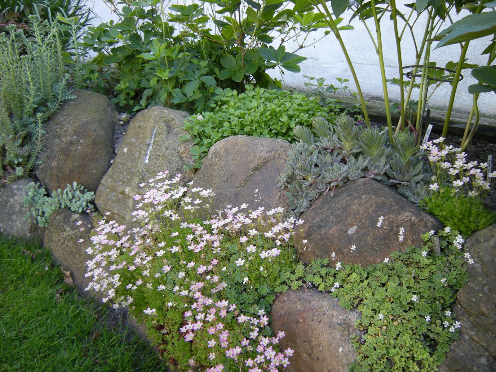 Alen Trädgård: Blomsterfestival!