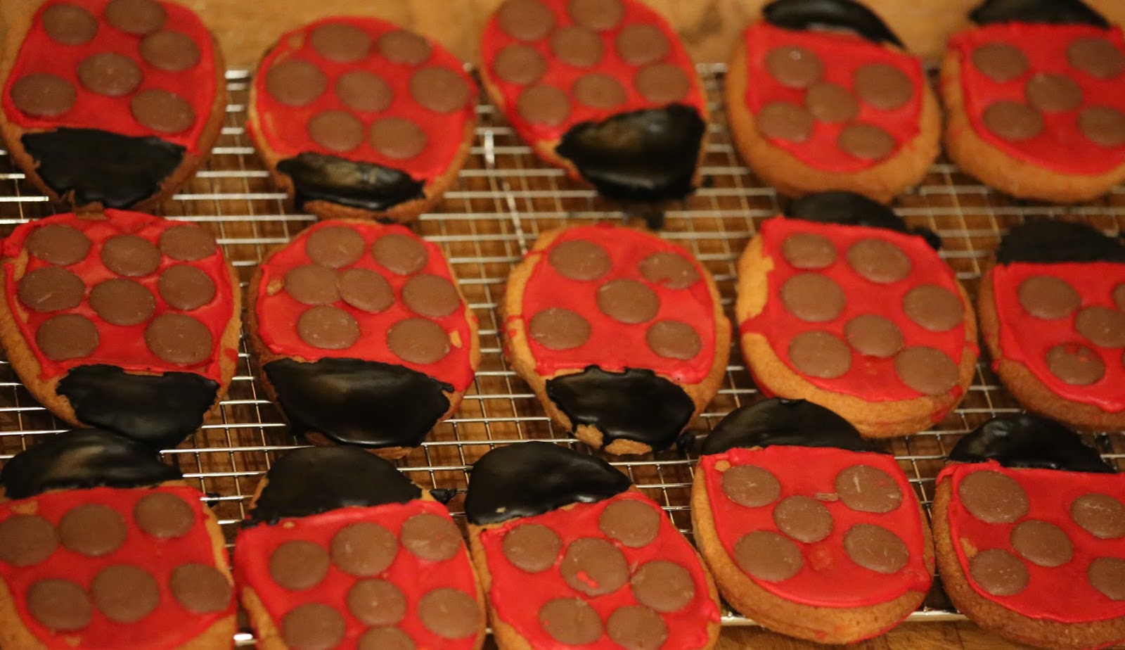 Minibeast activities | Holy Trinity CE Primary Academy and Nursery