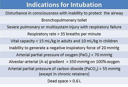 Nursing Stuff: Ventilators
