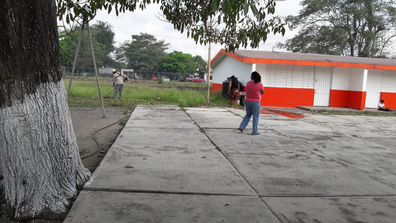 El rol del docente en la Escuela Primaria Multigrado: Primeras experiencias