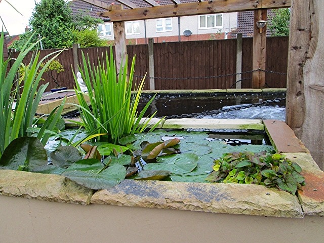 Anoxic Filtration System: For a comprehensive look into the Anoxic ...