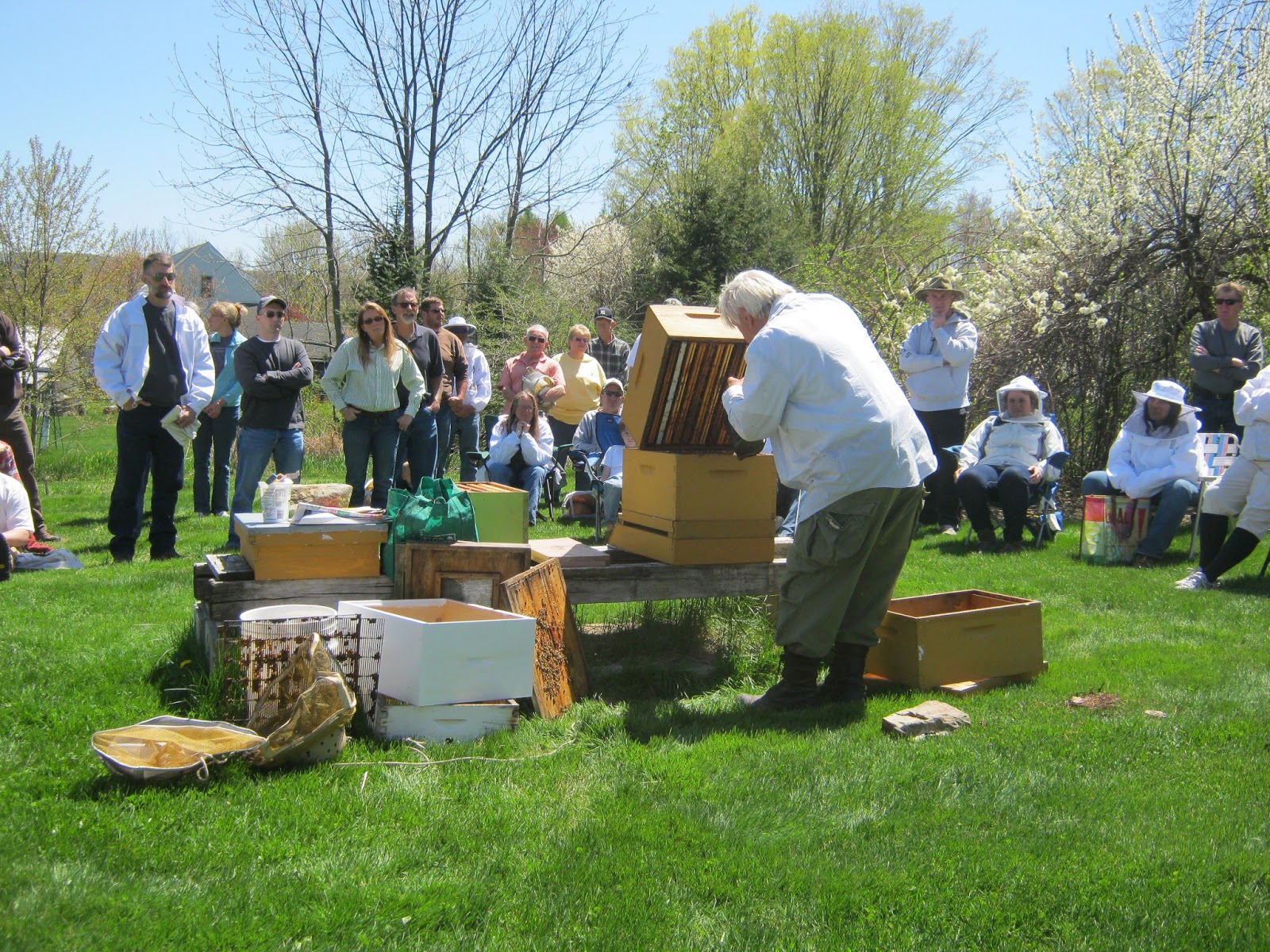 Steven's Bees: First Outdoor Bee Meeting, and a Quick Check