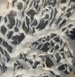 How to Prepare Caul Fat What is this fatty membrane