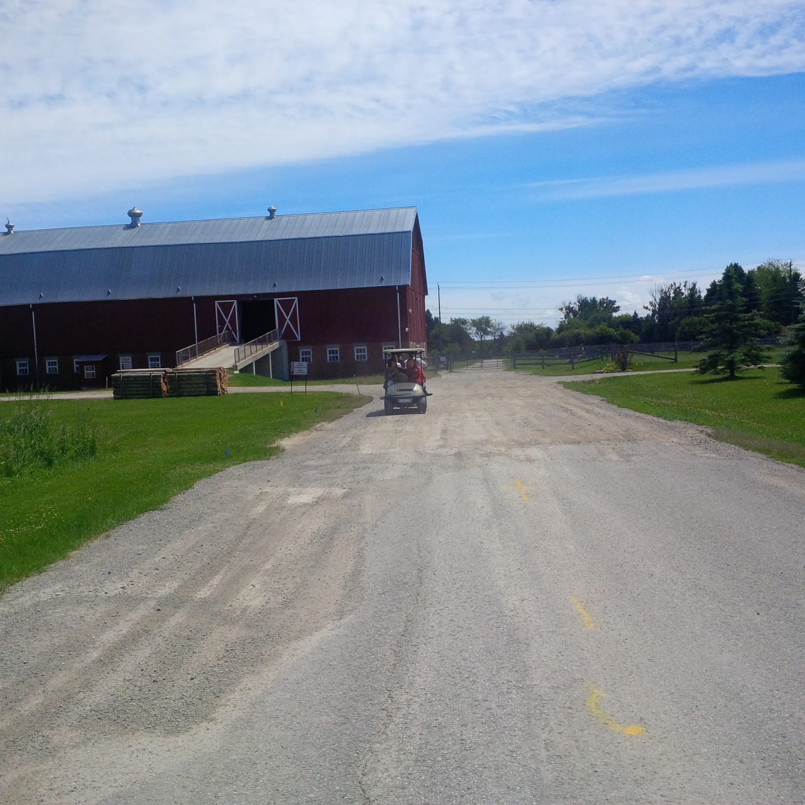 Digging For Gold: The unique King Campus of Seneca