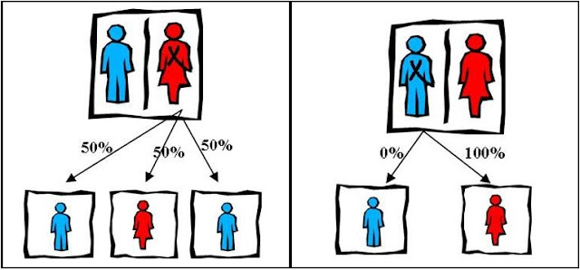 The Fragile X Files: The ABCs of Fragile X