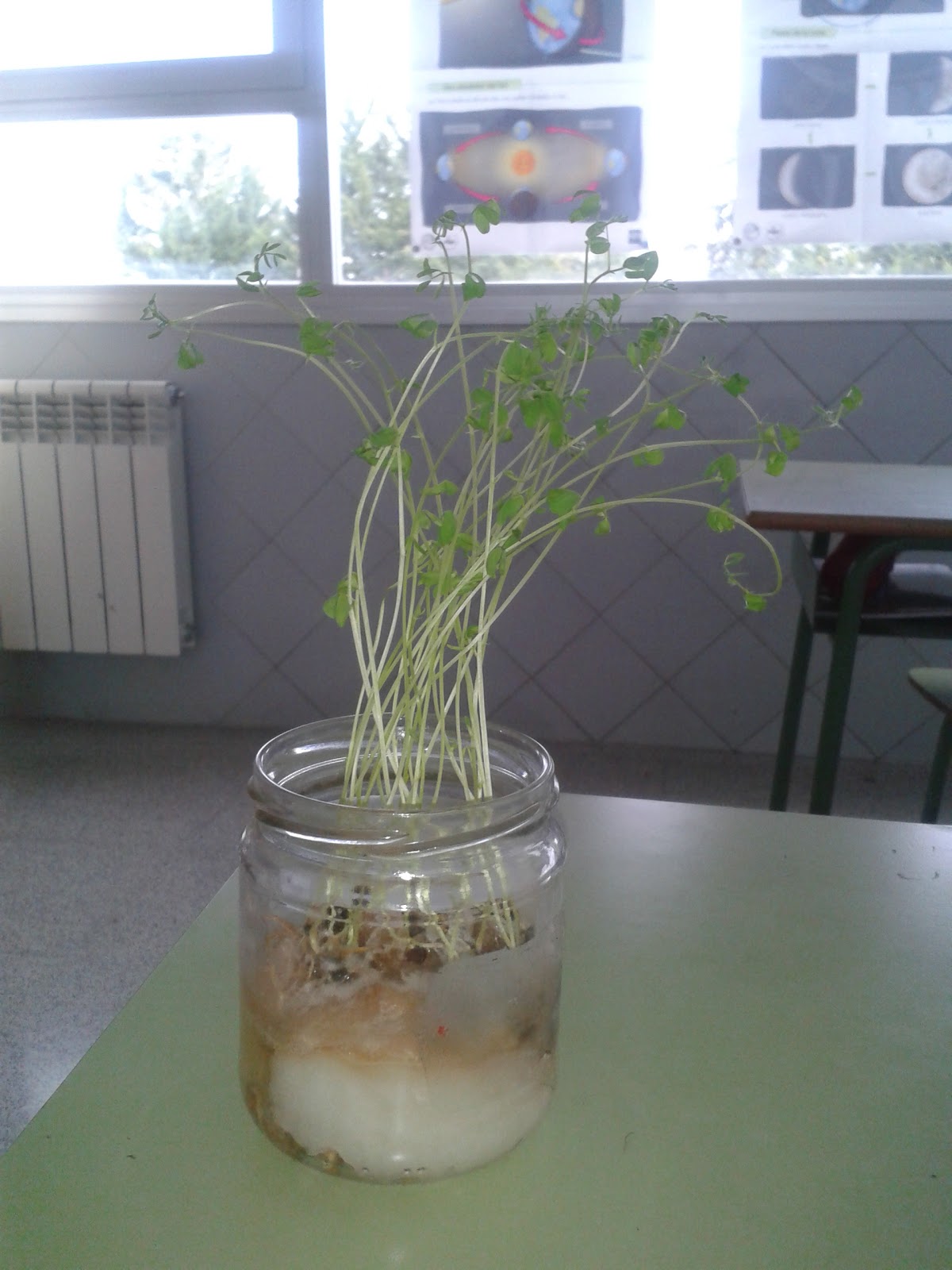 Conocimiento del Medio El Redín 2º de Primaria: Experimento Tema 6 ...