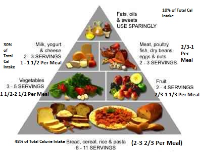 Professional Caregiving Reviewer: The Food Guide Pyramid