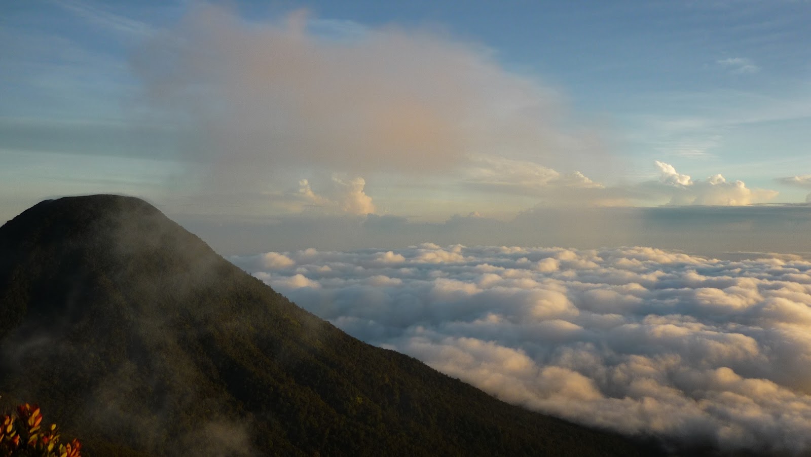 Keindahan Gunung Gede Pangrango - Hijaukan Bumi Kita