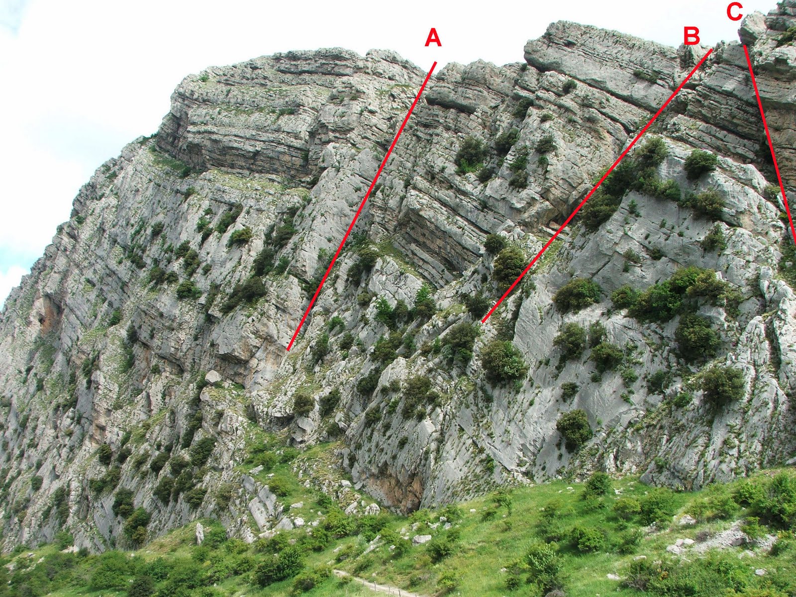 POLLINOFANTASTICO: L'anello della Falconara