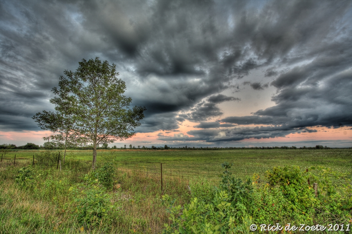 All Nature Sings: Country evening