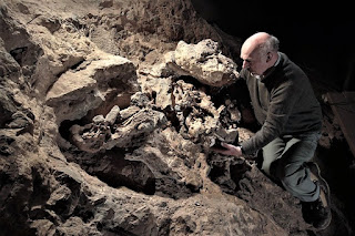 LA MIA PREISTORIA: Little Foot: il più completo fossile di ...