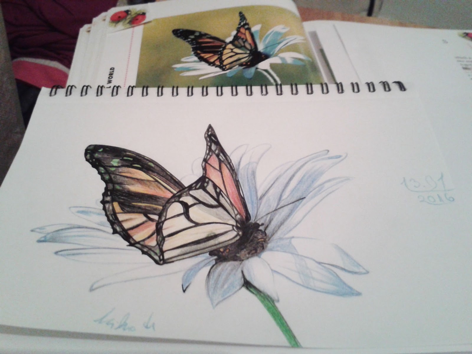 Pictura si grafica de pictor Mihaela Grosan: Desen cu fluture - agenda ...