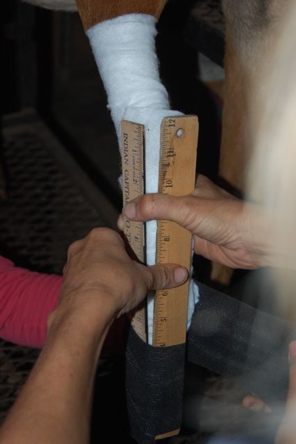 Good Goats: Broken Leg Update