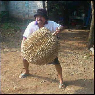 Stay Healthy Through Jokes: GIANT DURIAN
