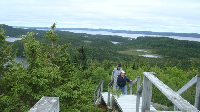 On the Road with Dean, Judy, and Chica: Triton, Newfoundland