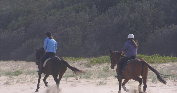 Know The Difference Between English And Western Horse Riding And Choose ...
