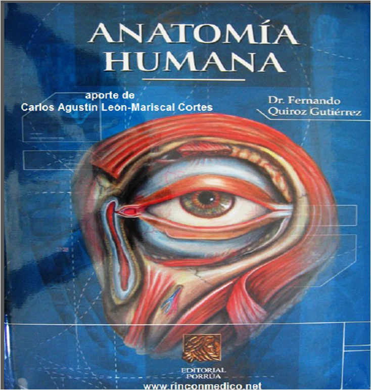 LIBROS: ANATOMÍA LIBROS