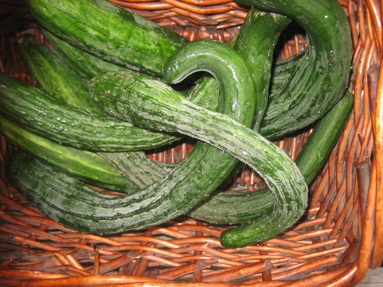 Pureed Pzazz: Suyo Long Cucumber Gazpacho