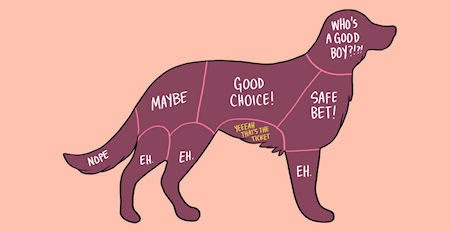 The Presurfer: 15 Charts That Perfectly Illustrate How To Properly Pet ...