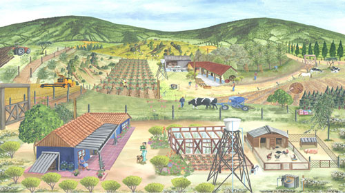 Desarrollo Sustentable: 3.5 Desarrollo urbano y rural.