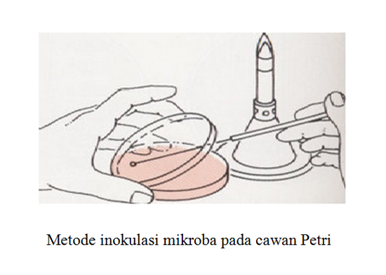 Dunia Ilmu dan Teknologi