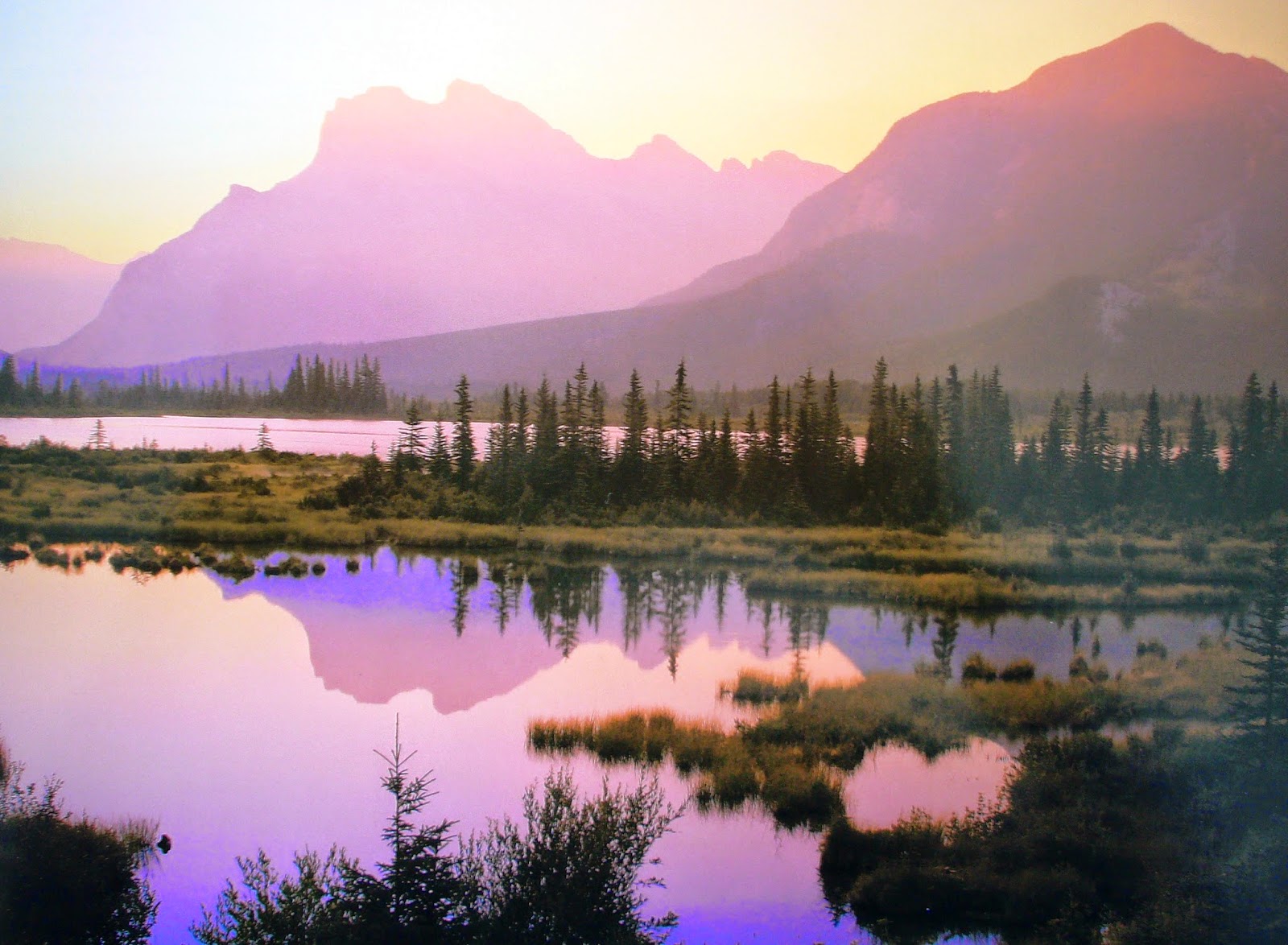 DepressionGetHelp: Experiencing Life Creatively as we Reflect upon the ...